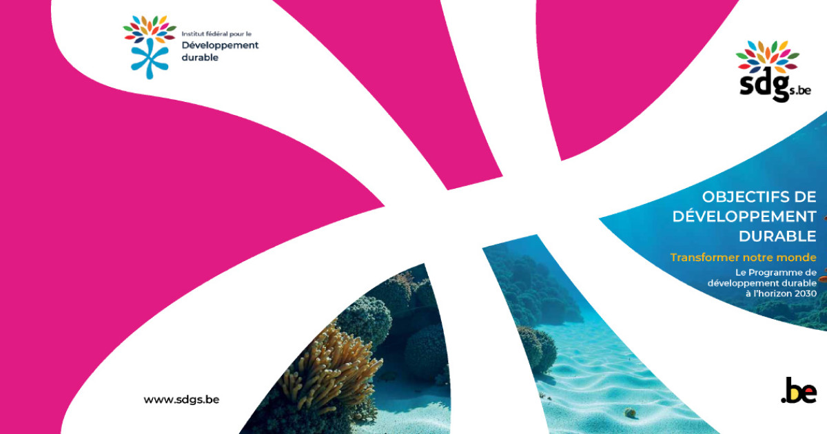 Redécouvrez les SDGs grâce à notre nouvelle brochure ! | FIDO